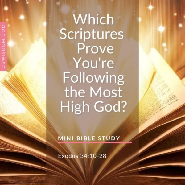Which Scriptures in the Bible Can You Use to Prove You're Following the ...